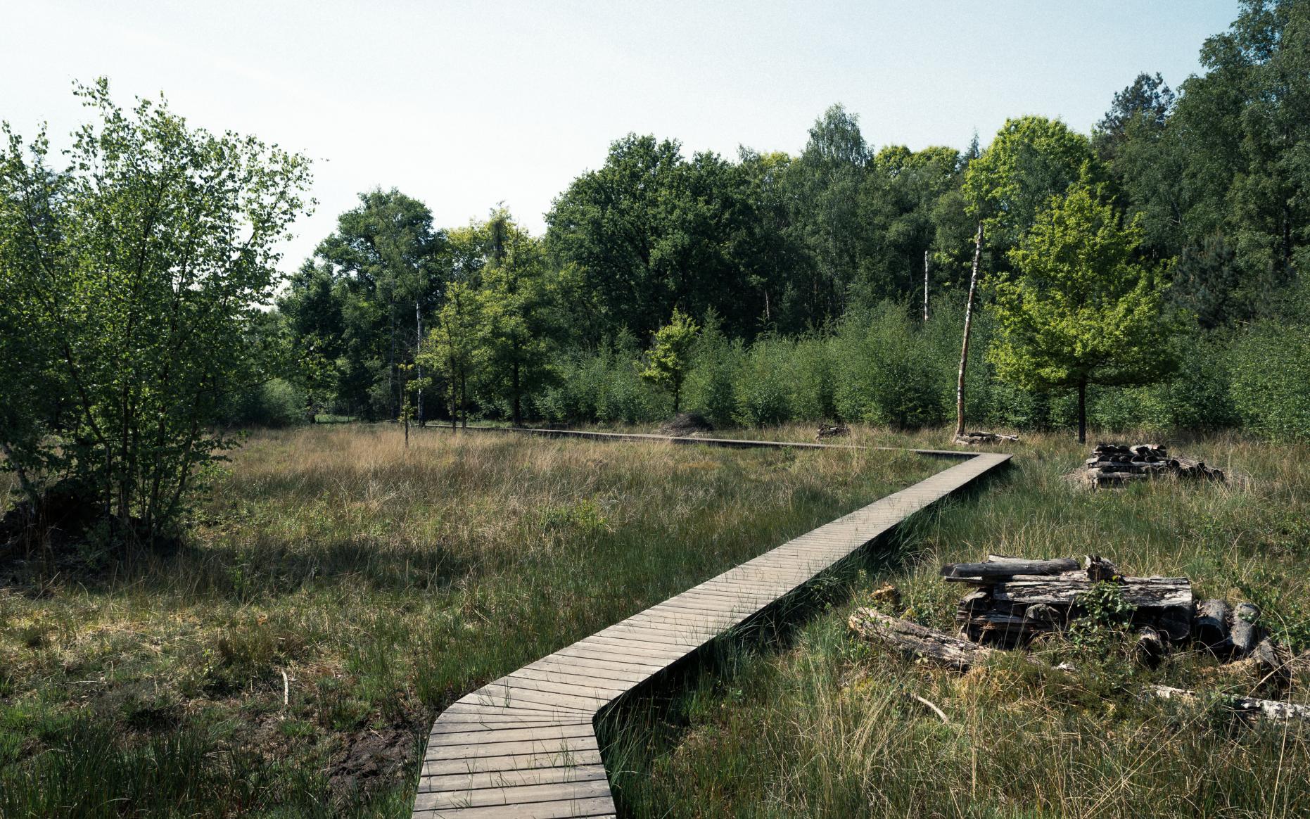 Cuesta van Oedelem-Zomergem | Geopark Schelde Delta