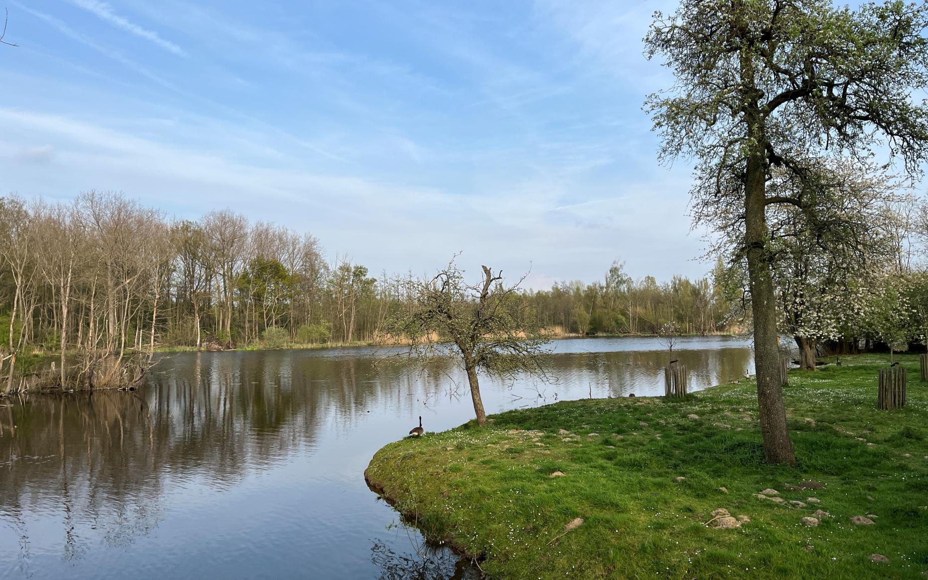 The Scheldt, the blue thread through the Geopark | Geopark Schelde Delta